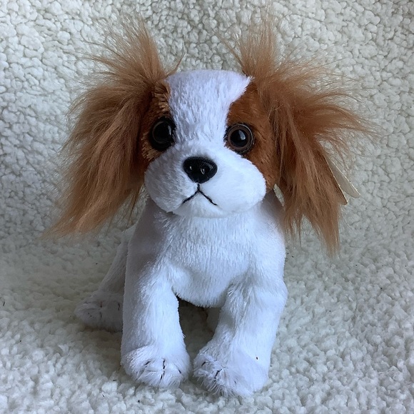 Ty | Toys | Ty Retired Beanie Baby Regal King Charles Spaniel Dog Tags ...